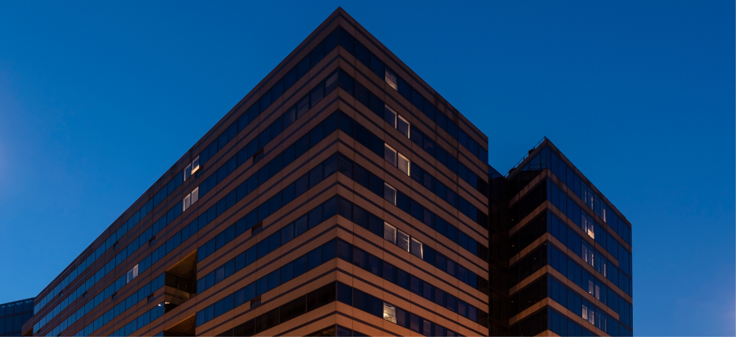 Capacity Development | What We Do | IMF Annual Report 2022